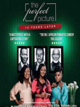 THE PERFECT PICTURE: TEN YEARS LATER | Movie Review | Talk African Movies